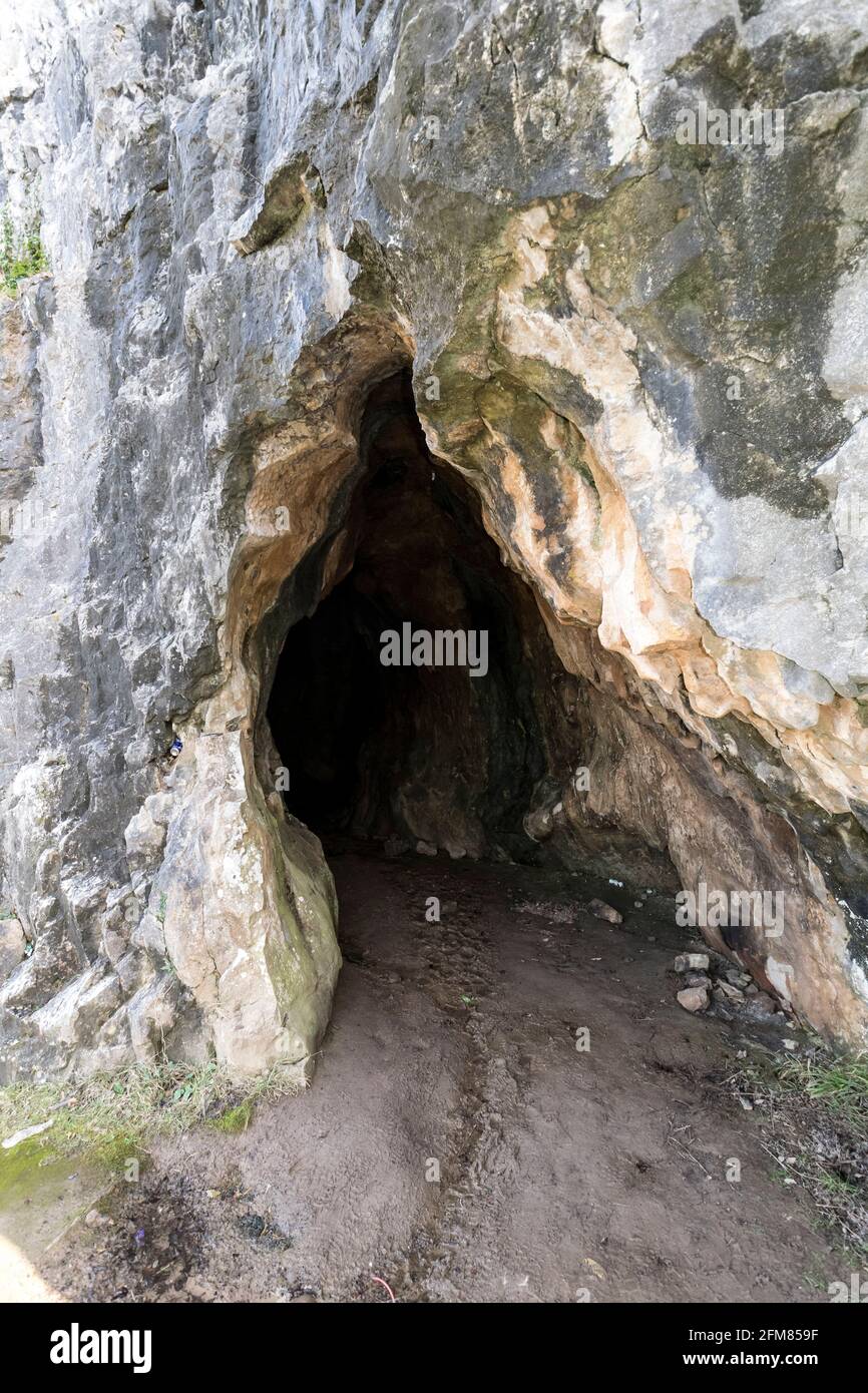 The hillside of Cefn-yr-Ogof or back of the cave at Llanddulas on the ...