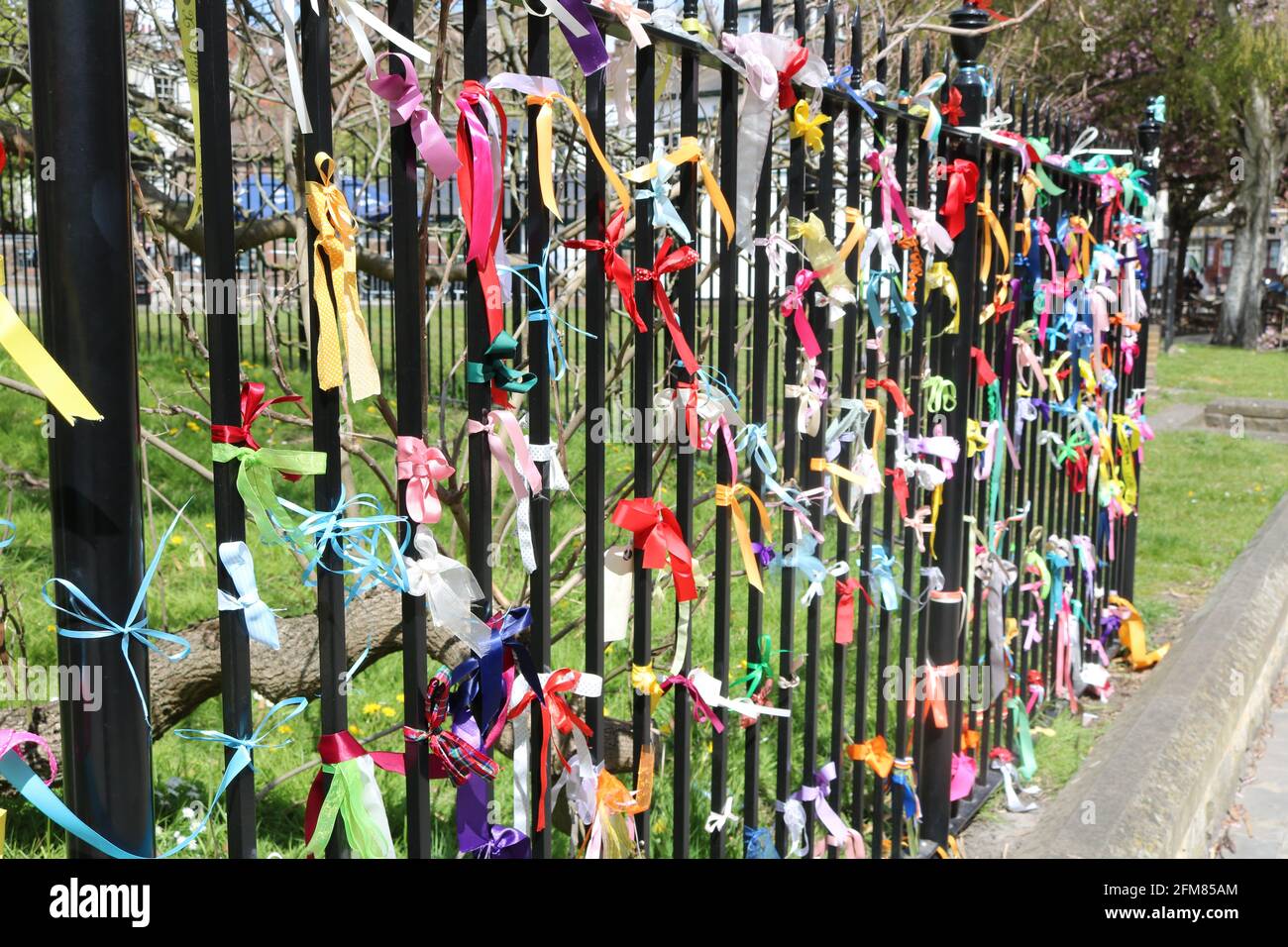 Promise tree hi-res stock photography and images - Alamy