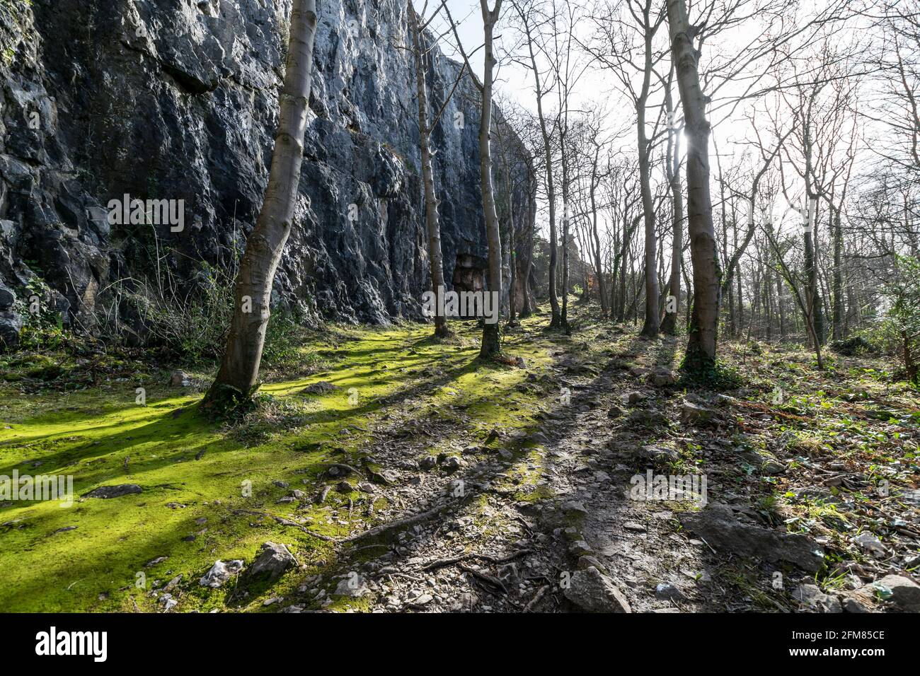 The hillside of Cefn-yr-Ogof or back of the cave at Llanddulas on the ...