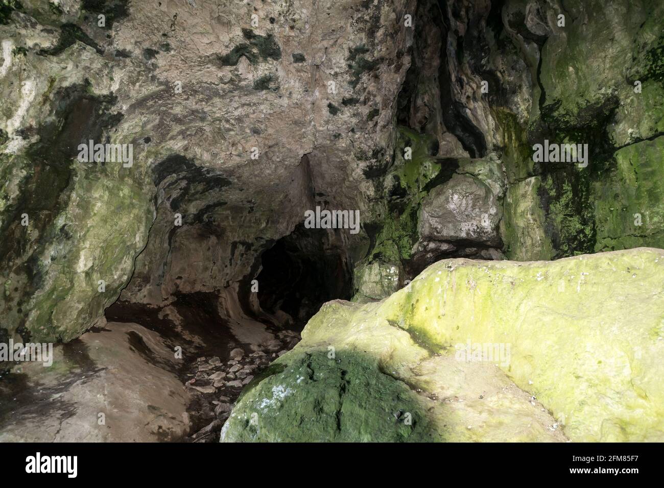 The hillside of Cefn-yr-Ogof or back of the cave at Llanddulas on the ...