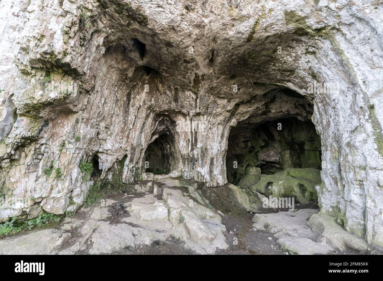 The hillside of Cefn-yr-Ogof or back of the cave at Llanddulas on the ...