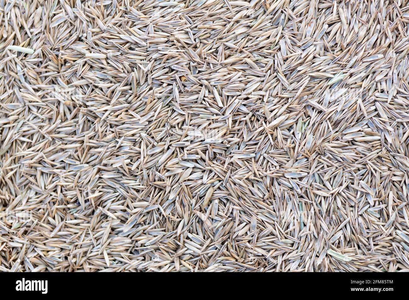 Wheat husks hi-res stock photography and images - Alamy