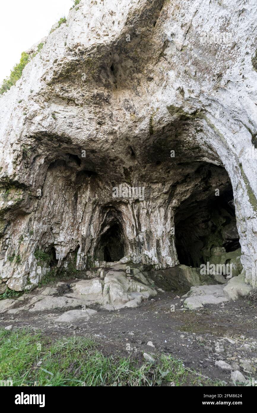 The hillside of Cefn-yr-Ogof or back of the cave at Llanddulas on the ...