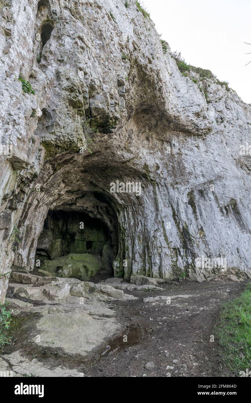 The hillside of Cefn-yr-Ogof or back of the cave at Llanddulas on the ...