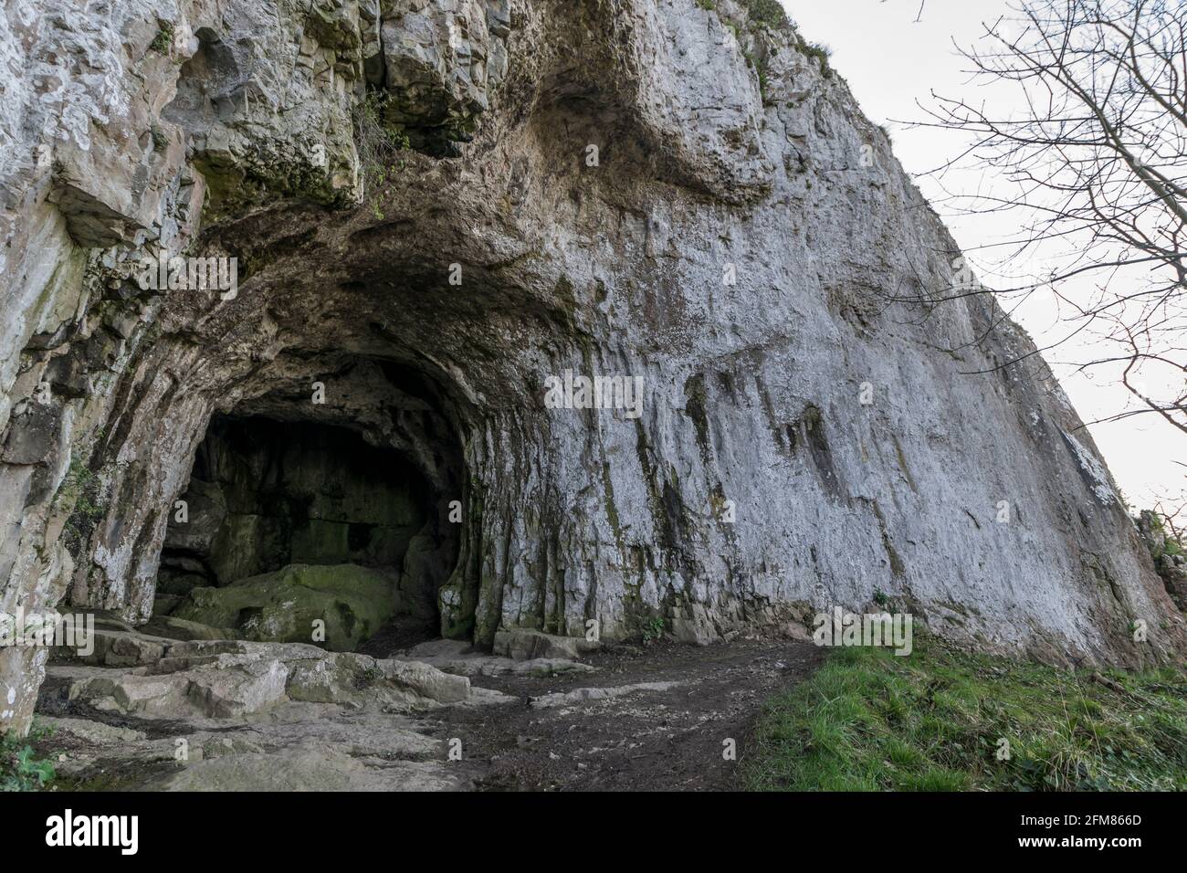 The hillside of Cefn-yr-Ogof or back of the cave at Llanddulas on the ...