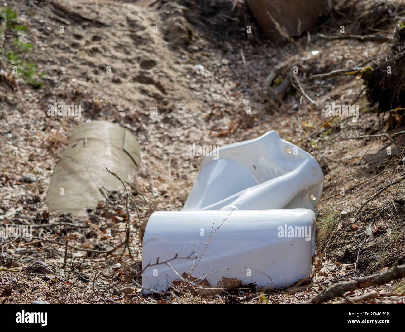 Toilet Litter. Pollution of the forest by household rubbish on nature ...