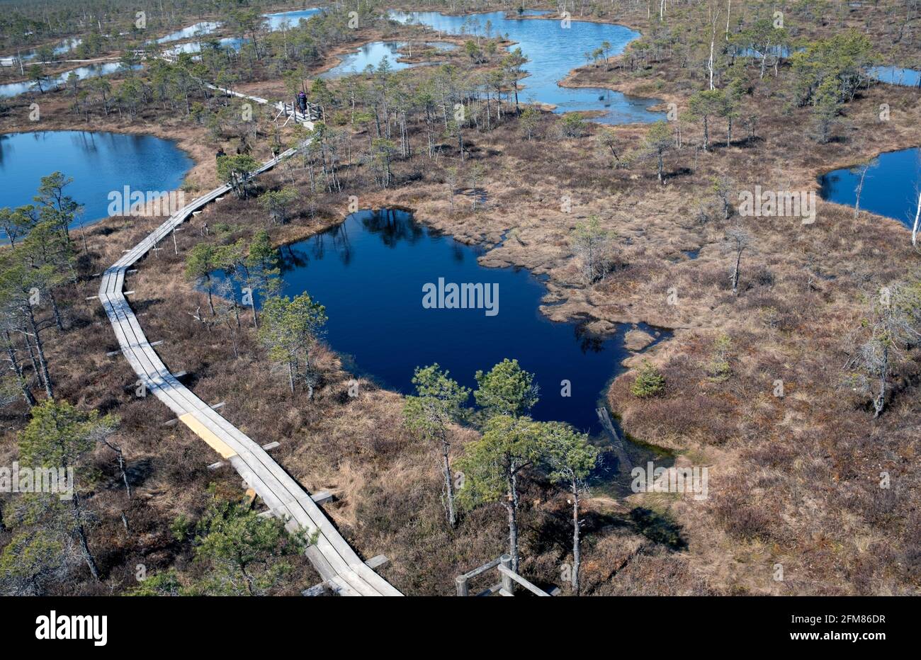 Kemeri national park sulphur hi-res stock photography and images - Alamy