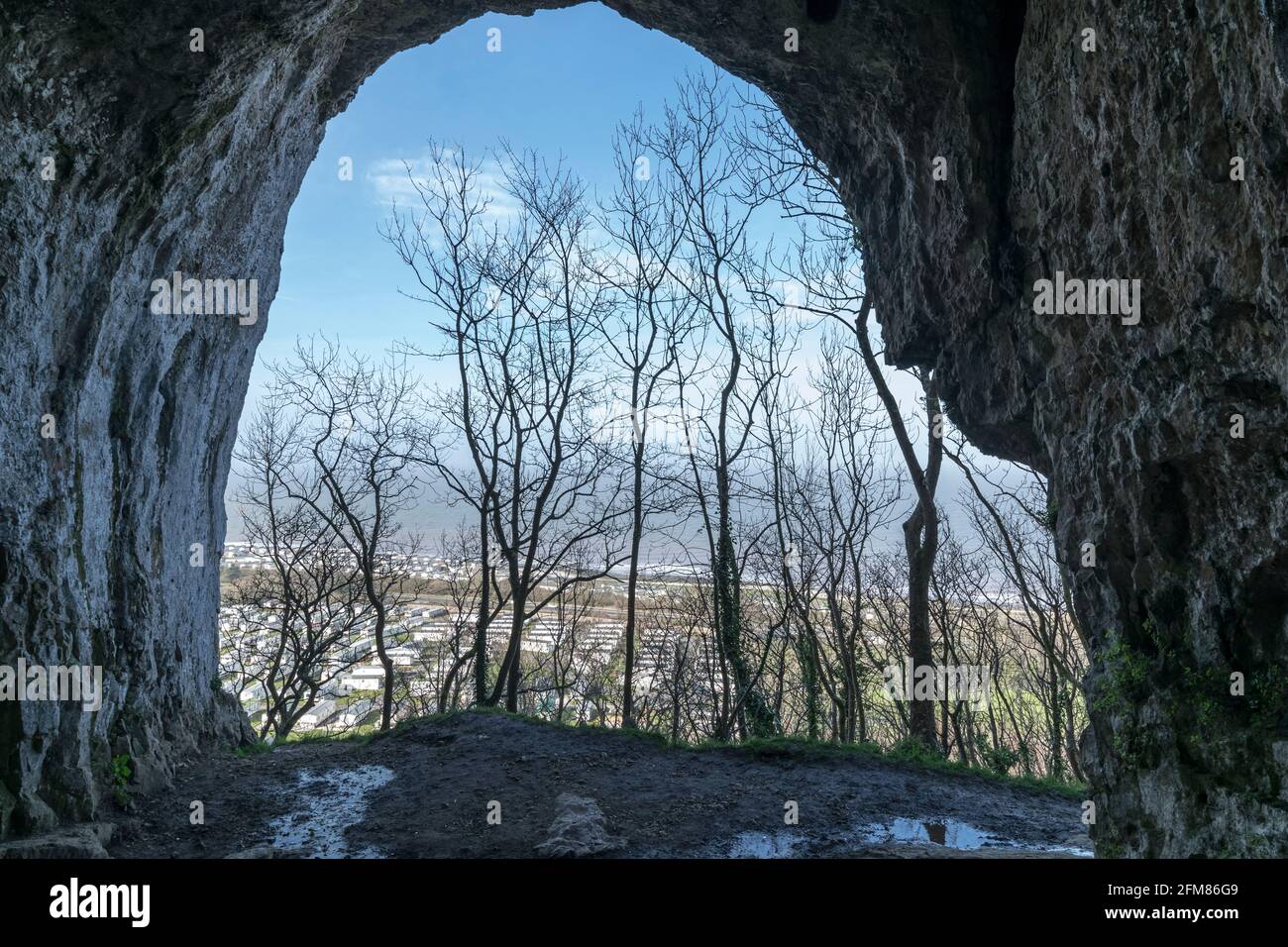 The hillside of Cefn-yr-Ogof or back of the cave at Llanddulas on the ...