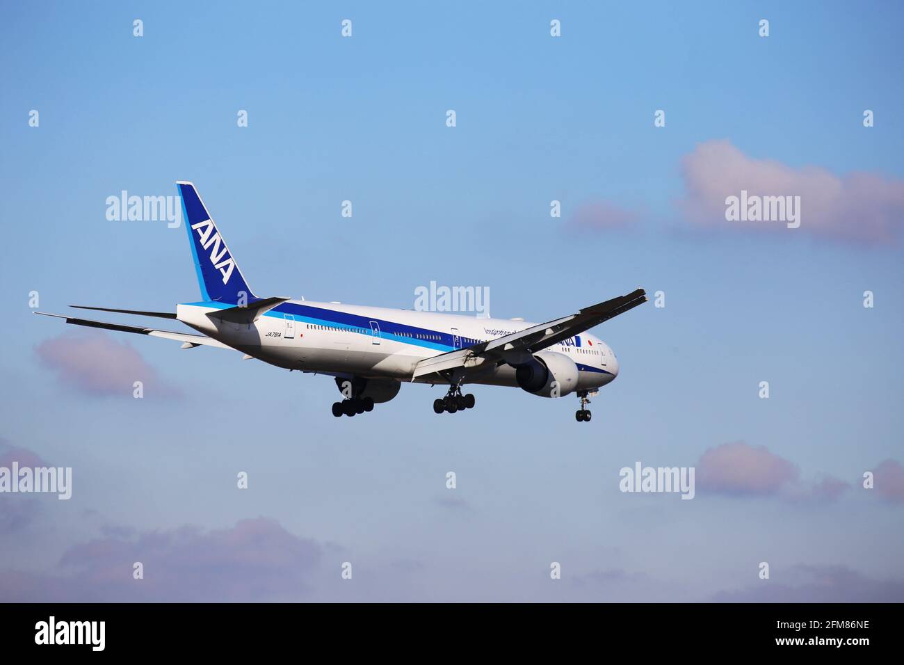 A passenger plane of the Japanese Airline "ANA" lands at Frankfurt ...