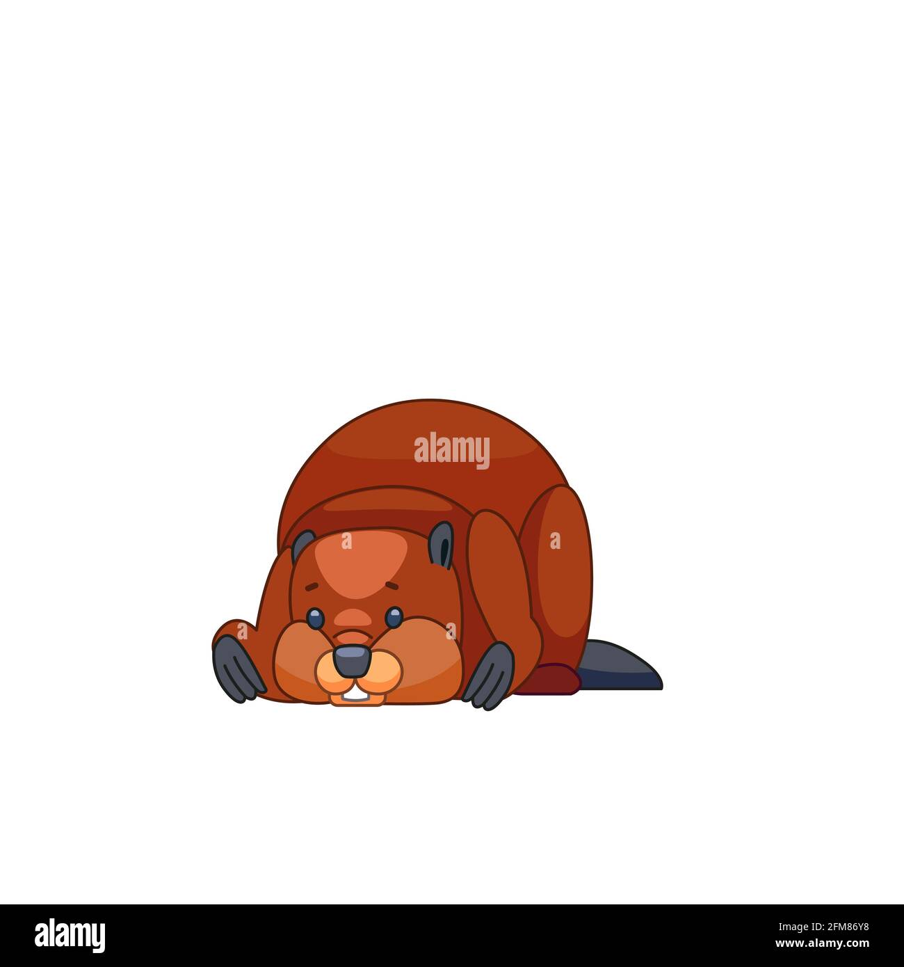 Beaver eating plant. Cartoon vector flat illustration isolated on white ...