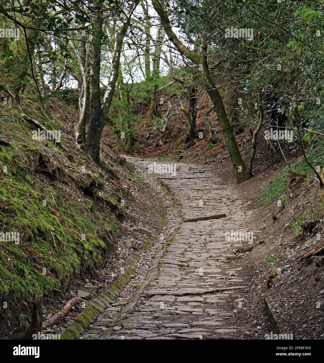 On the west Pennine moors above Blackburn are lots of public footpaths ...