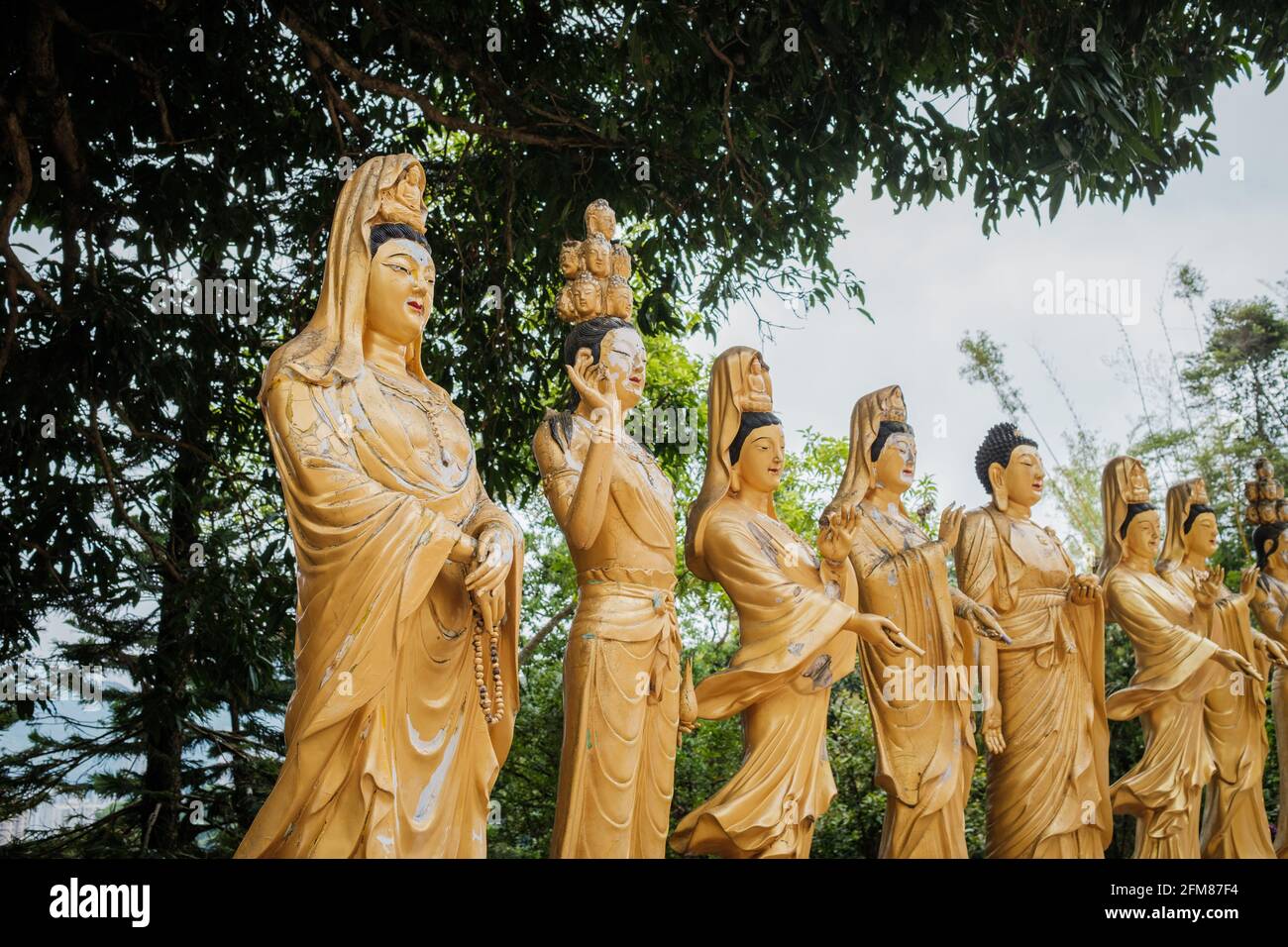 Series of Old Guanyin Statues, Traditional Chinese Goddess Golden ...