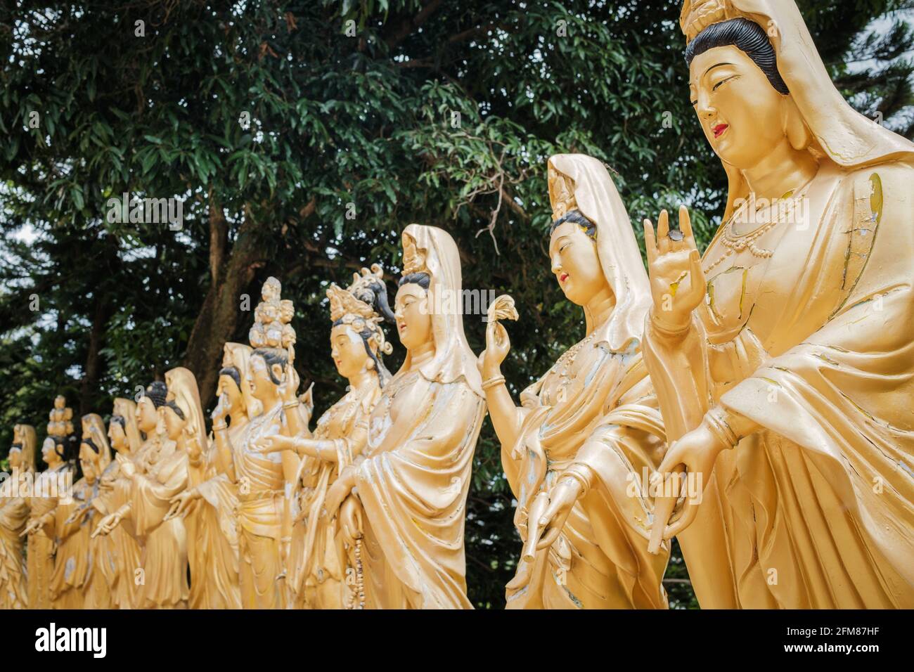 Series of Old Guanyin Statues, Traditional Chinese Goddess Golden ...