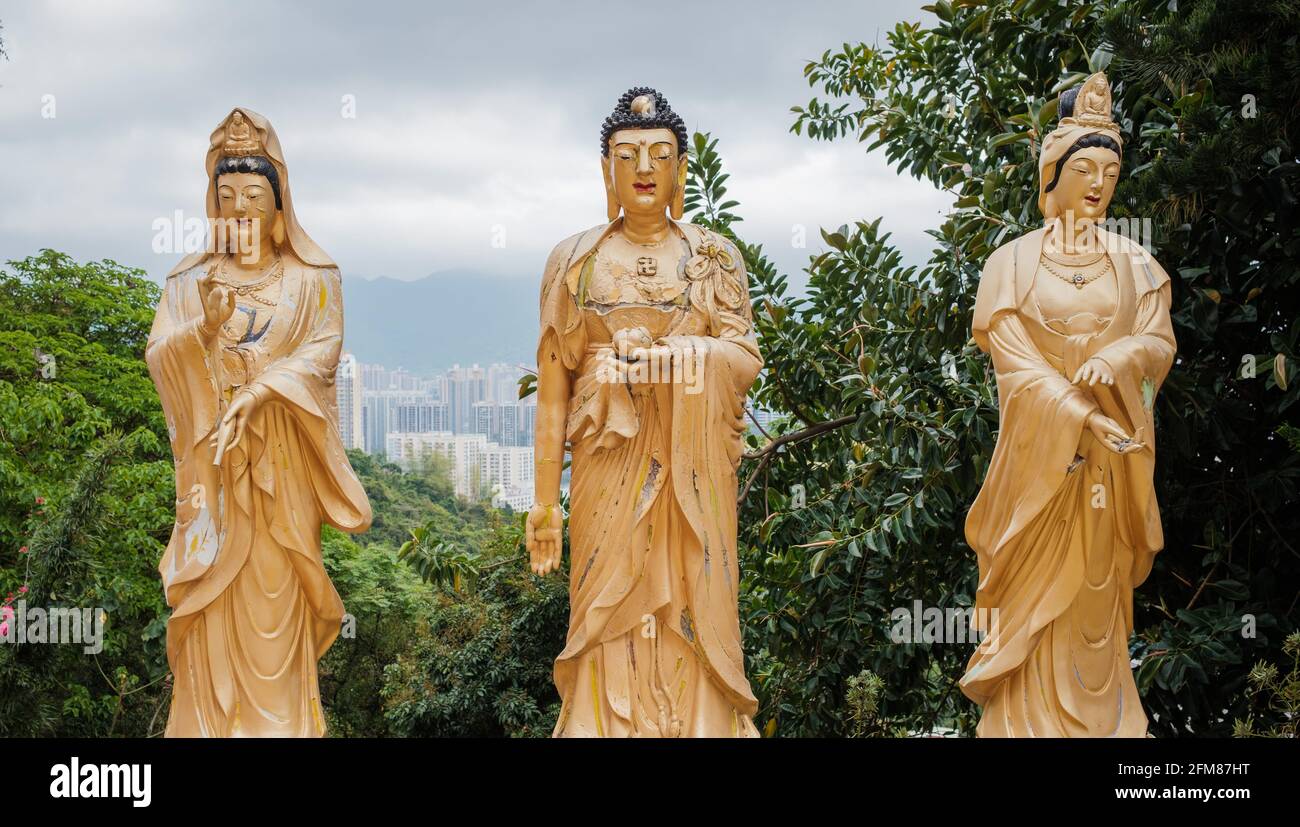 Series of Old Guanyin Statues, Traditional Chinese Goddess Golden ...
