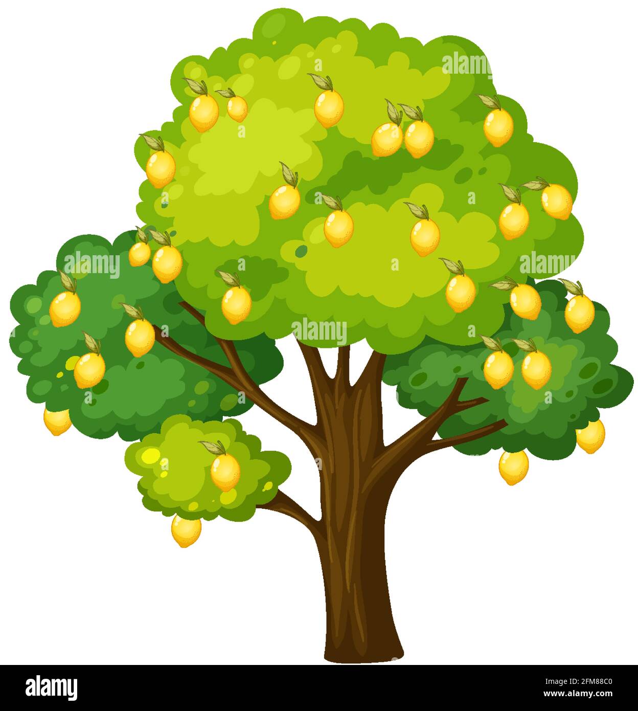 Lemon tree isolated on white background illustration Stock Vector Image & Art - Alamy