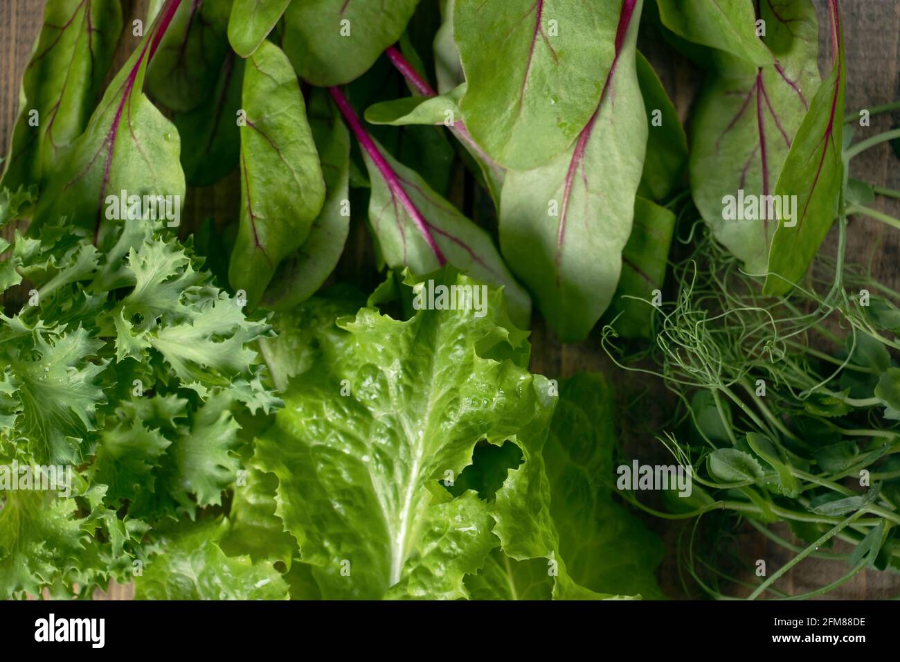 Background with different types of salads on a wooden surface. Young ...