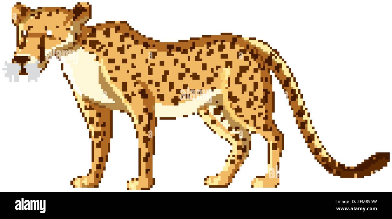 Leopard cartoon style isolated on white background illustration Stock ...