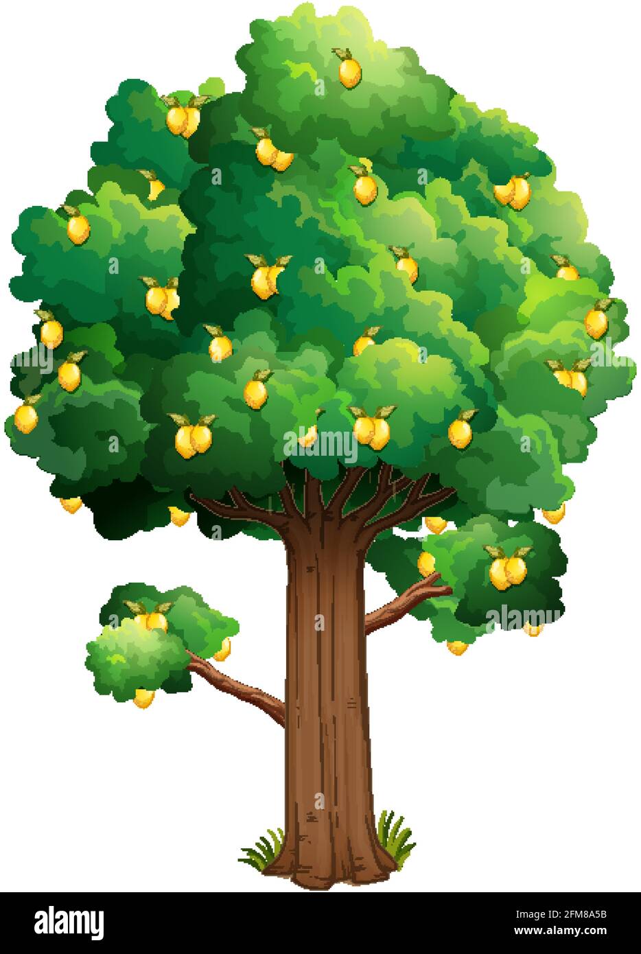 Lemon tree in cartoon style isolated on white background illustration ...