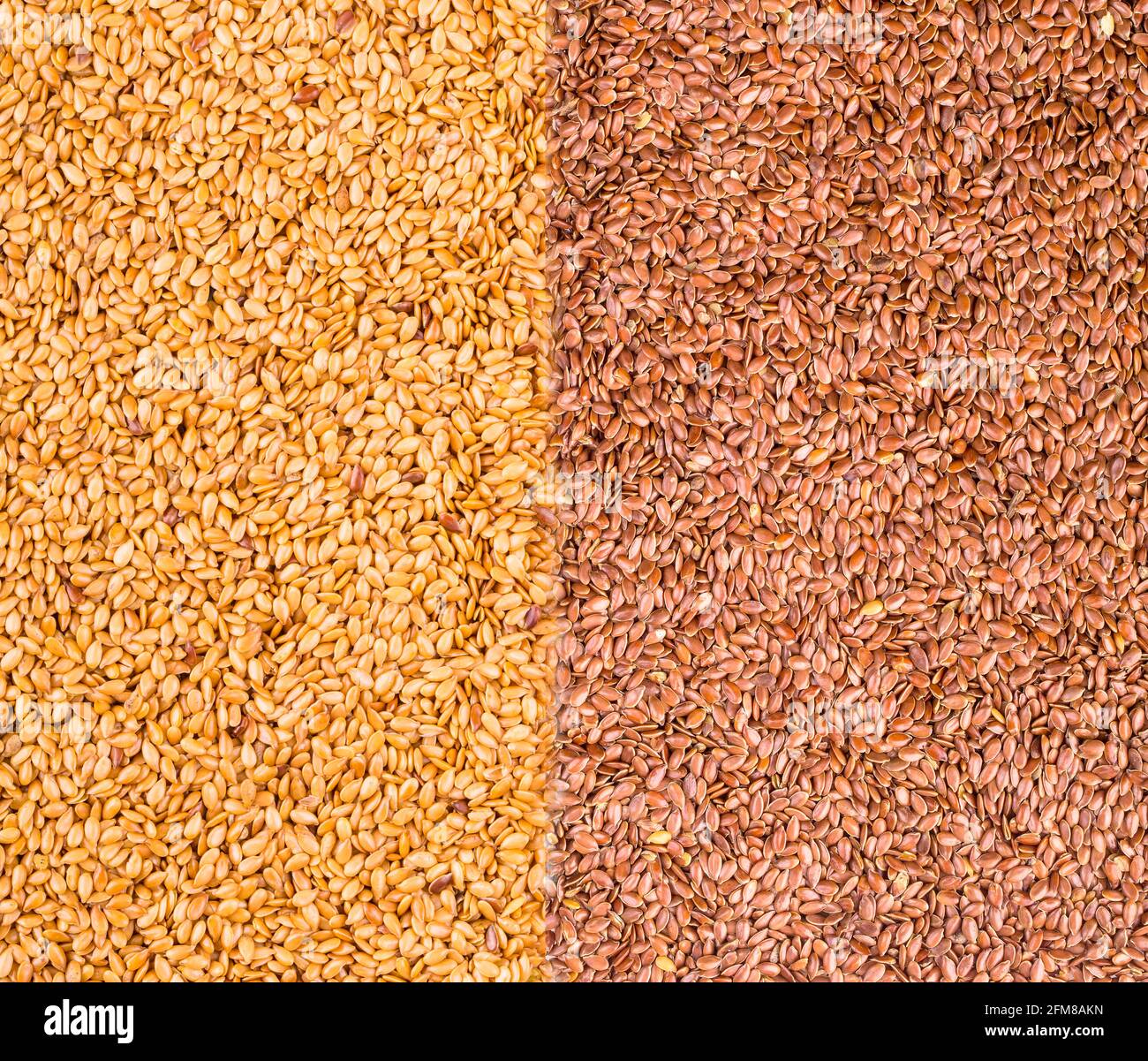 Background texture of roasted golden and black flax seed or linseed ...