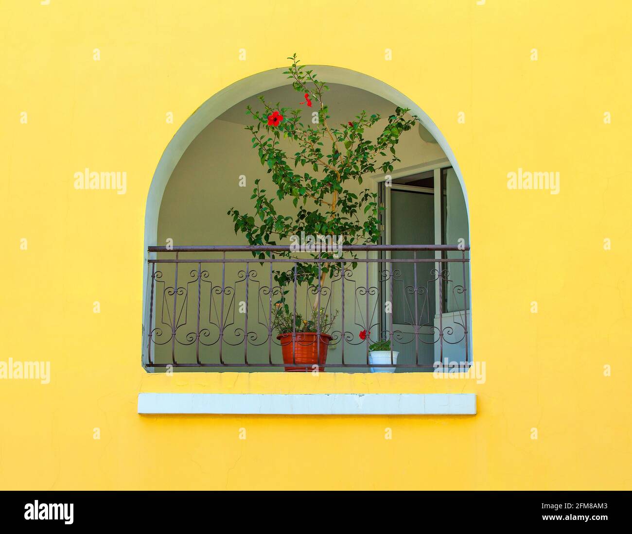 semicircular window with a flower on a yellow wall Stock Photo - Alamy