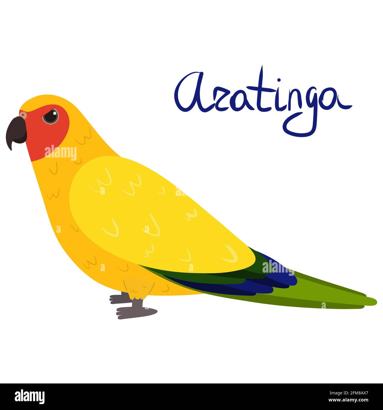 Sun conure parakeet Stock Vector Images - Alamy
