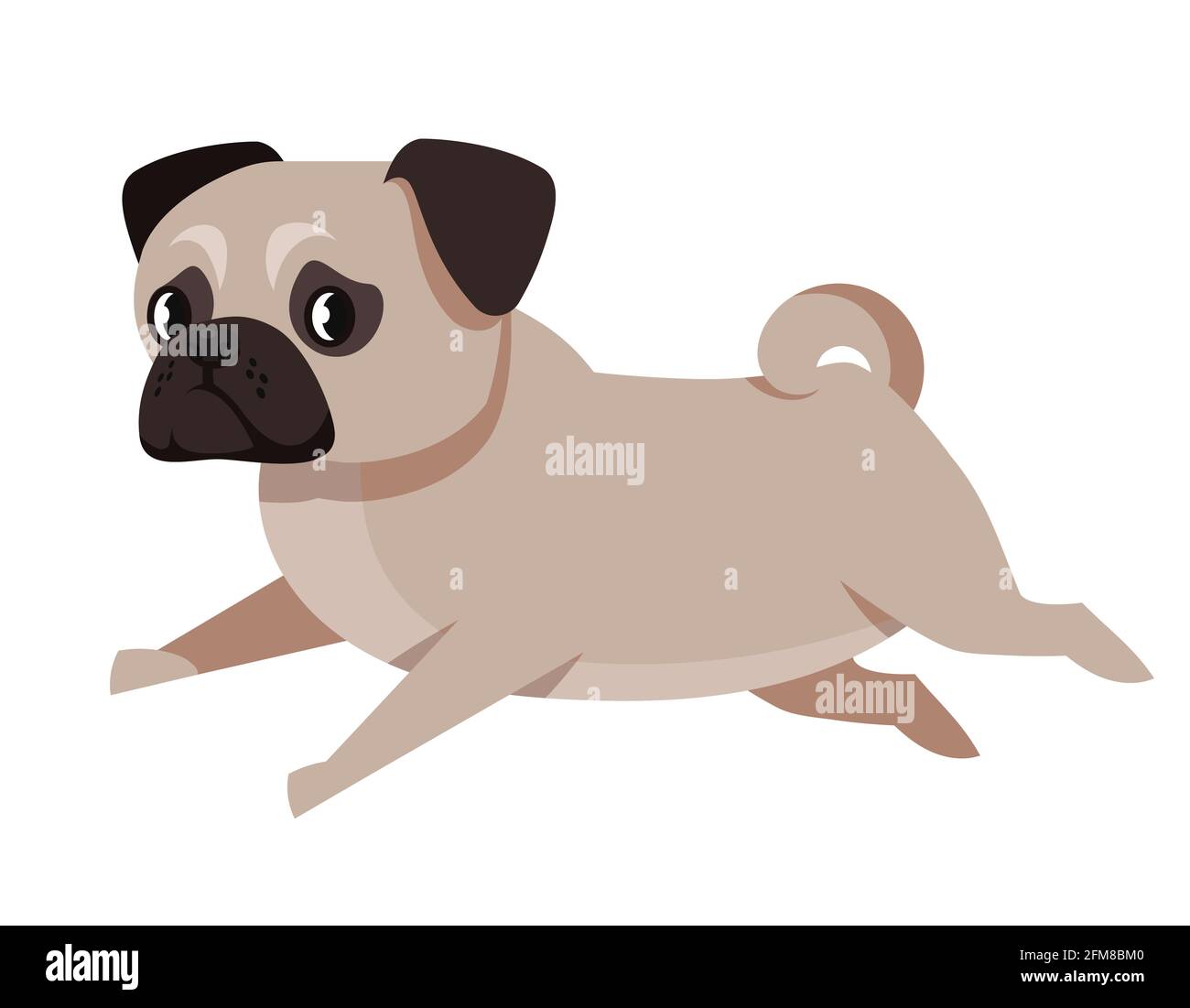 Side view purebred pug Cut Out Stock Images & Pictures - Alamy