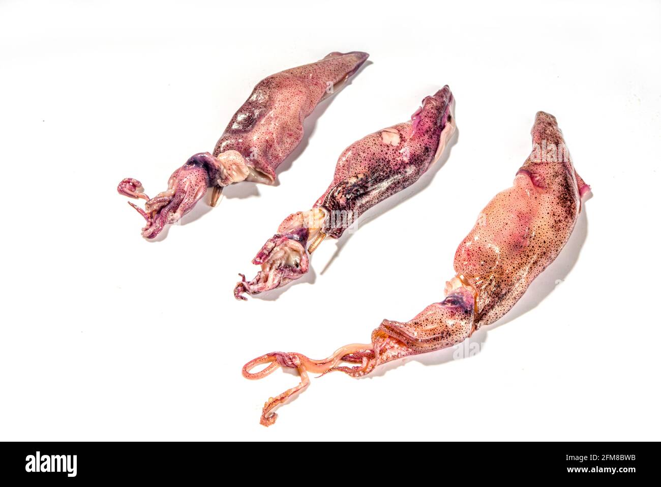 Raw fresh seafood squid, baby squid isolated on white background Stock ...