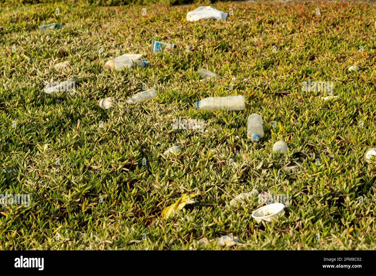 Plastic garbage pollution along the waters edge in grass with discarded ...
