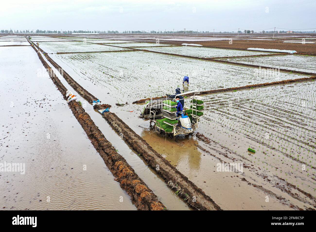 Meng xia hi-res stock photography and images - Alamy