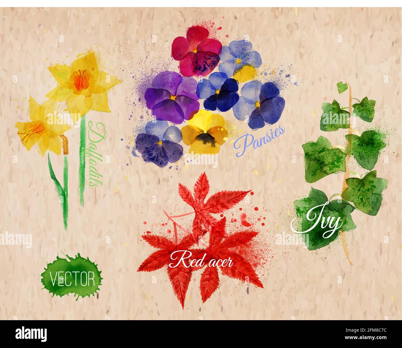 Ivy leaf drawing hi-res stock photography and images - Alamy