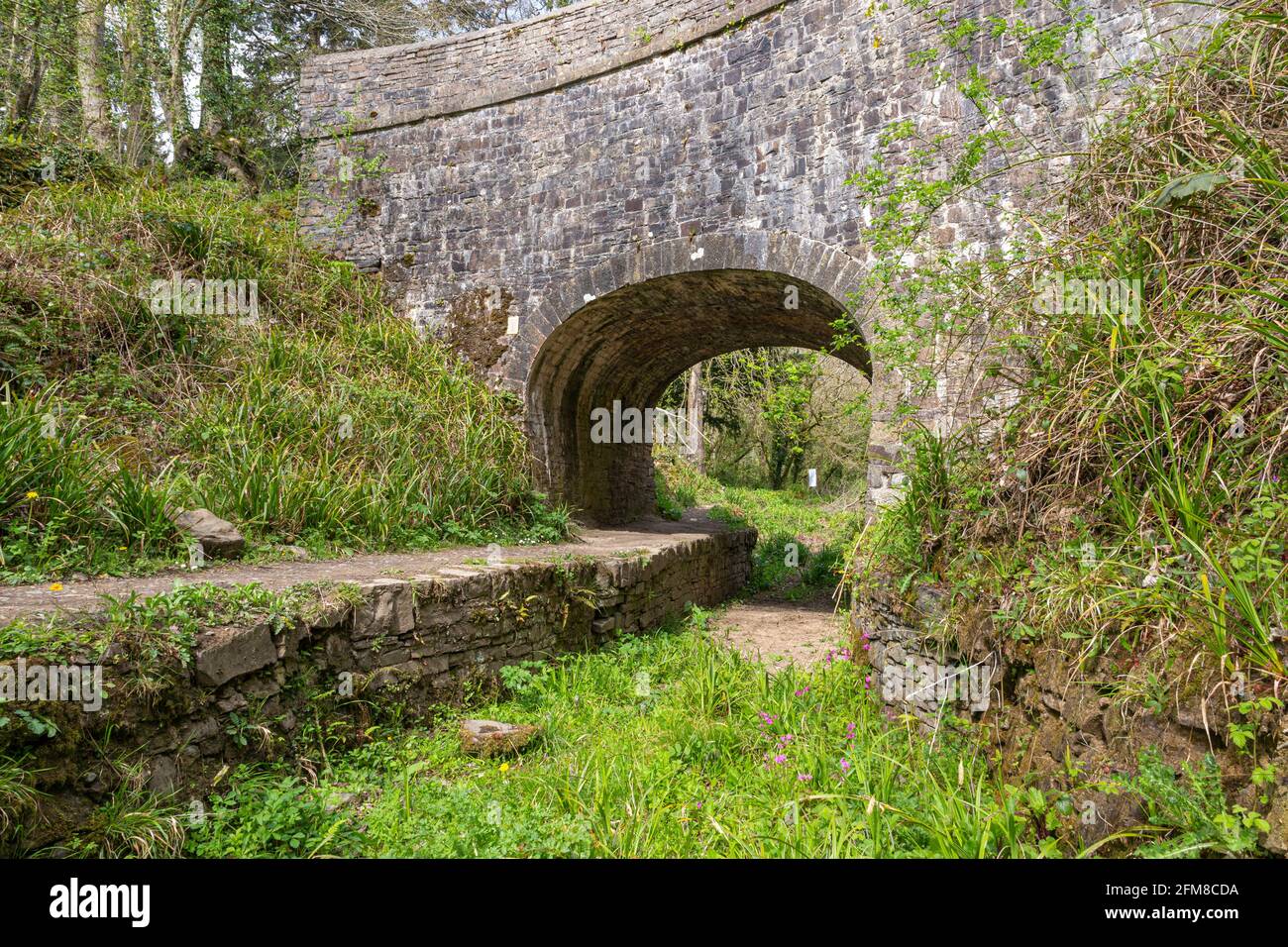 History of great torrington hi-res stock photography and images - Alamy