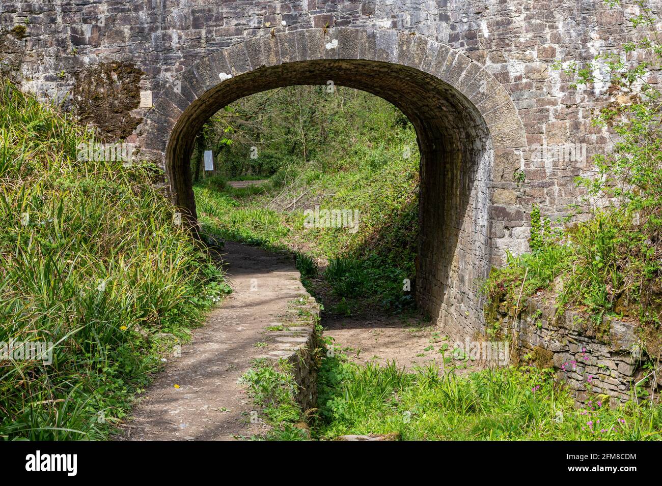 Bideford devon old bridge hi-res stock photography and images - Alamy