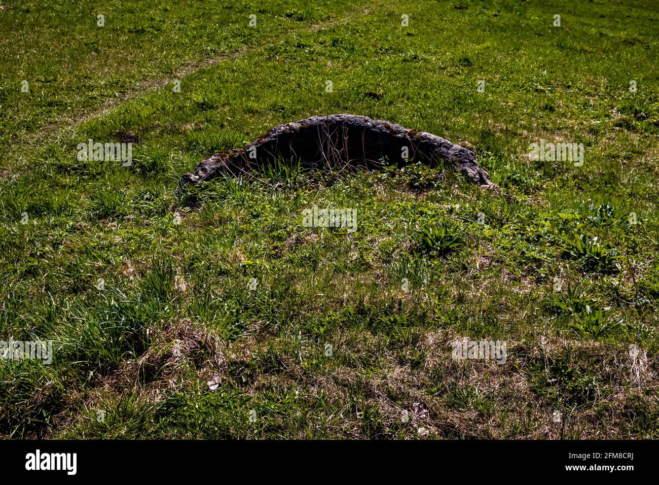 Stone on green grass Stock Photo - Alamy