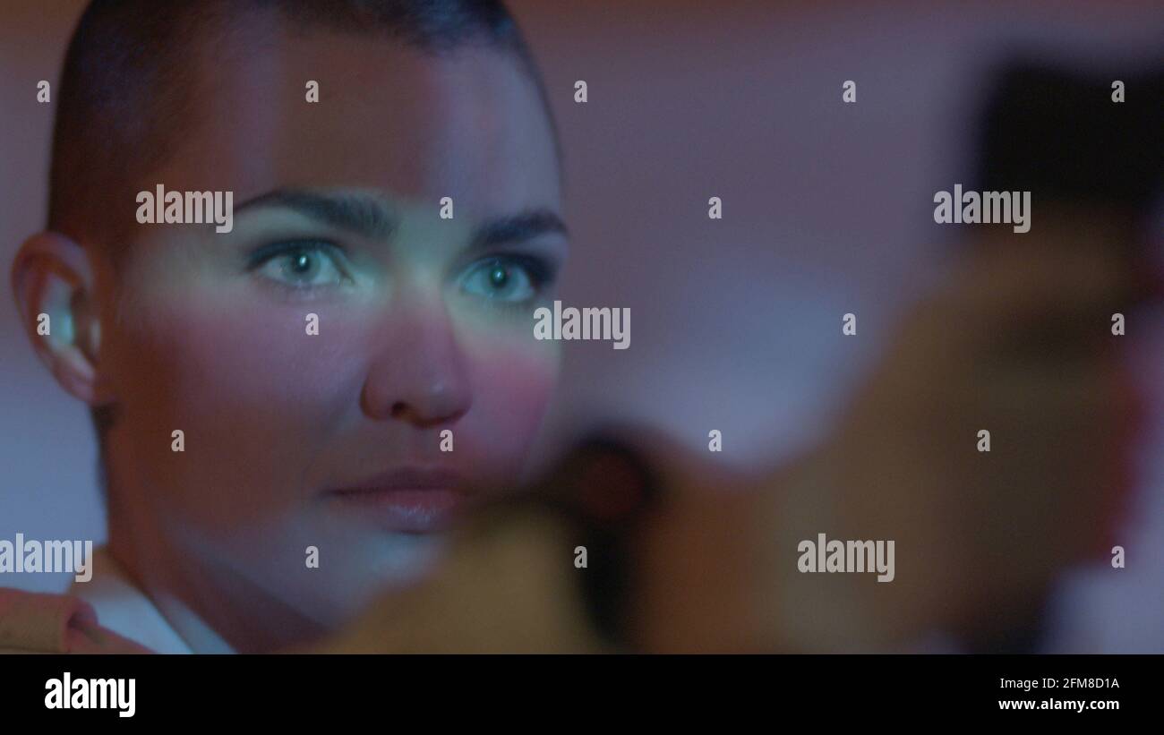 Vanquish ruby rose hi-res stock photography and images - Alamy