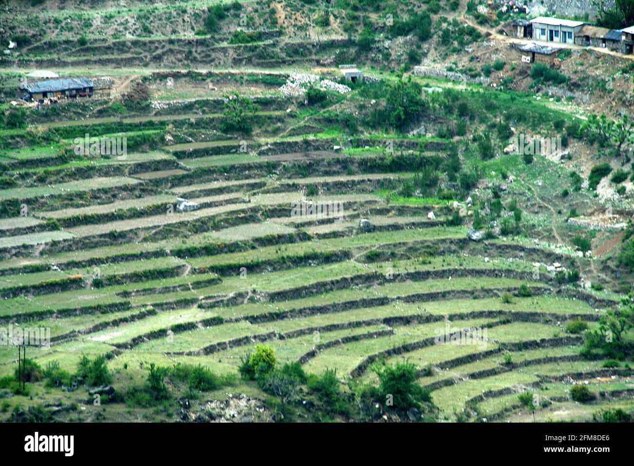 Pattern of step cultivation being adopted in a sloped, mountainous ...