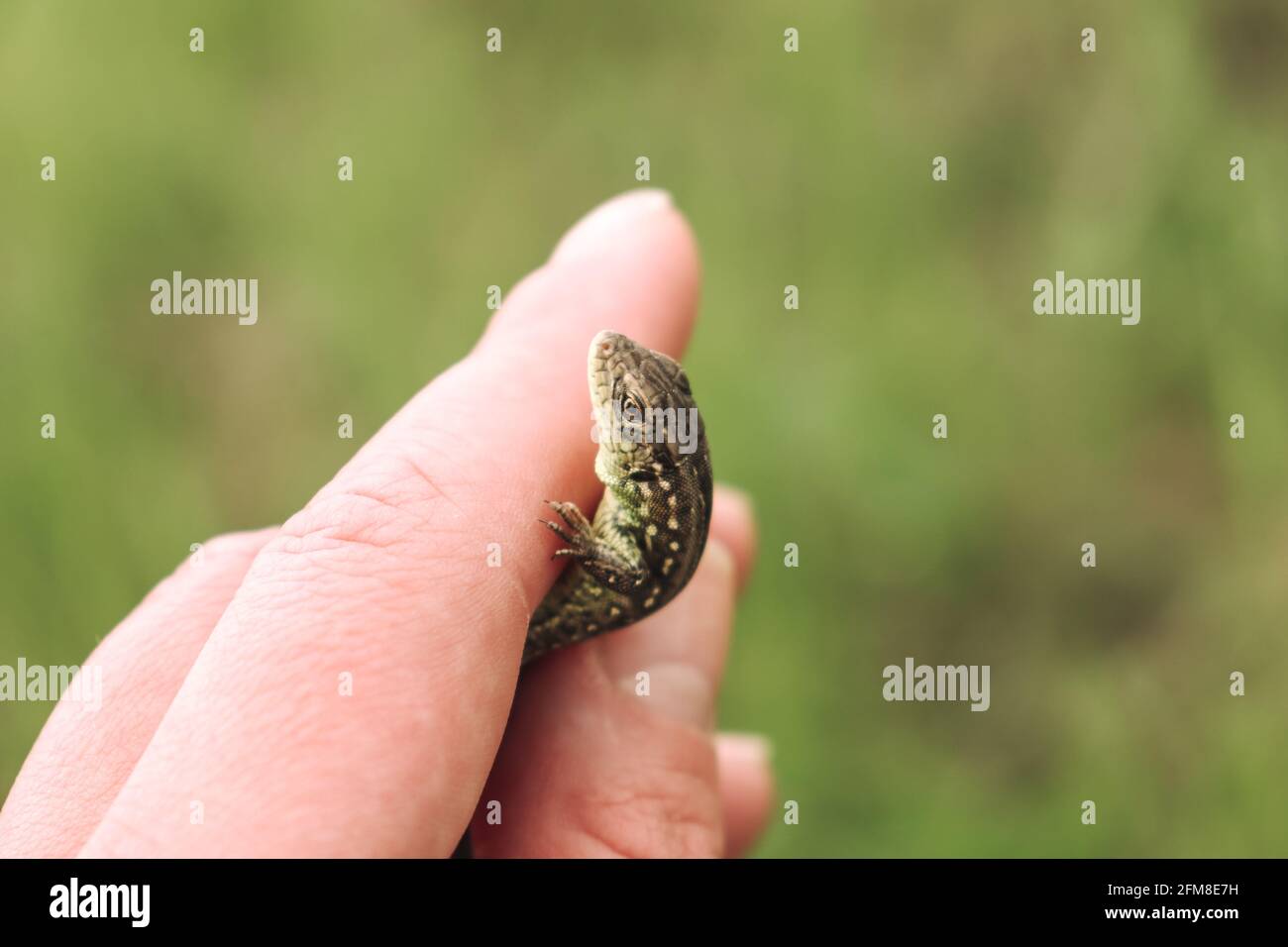 Hand touches the head hi-res stock photography and images - Alamy
