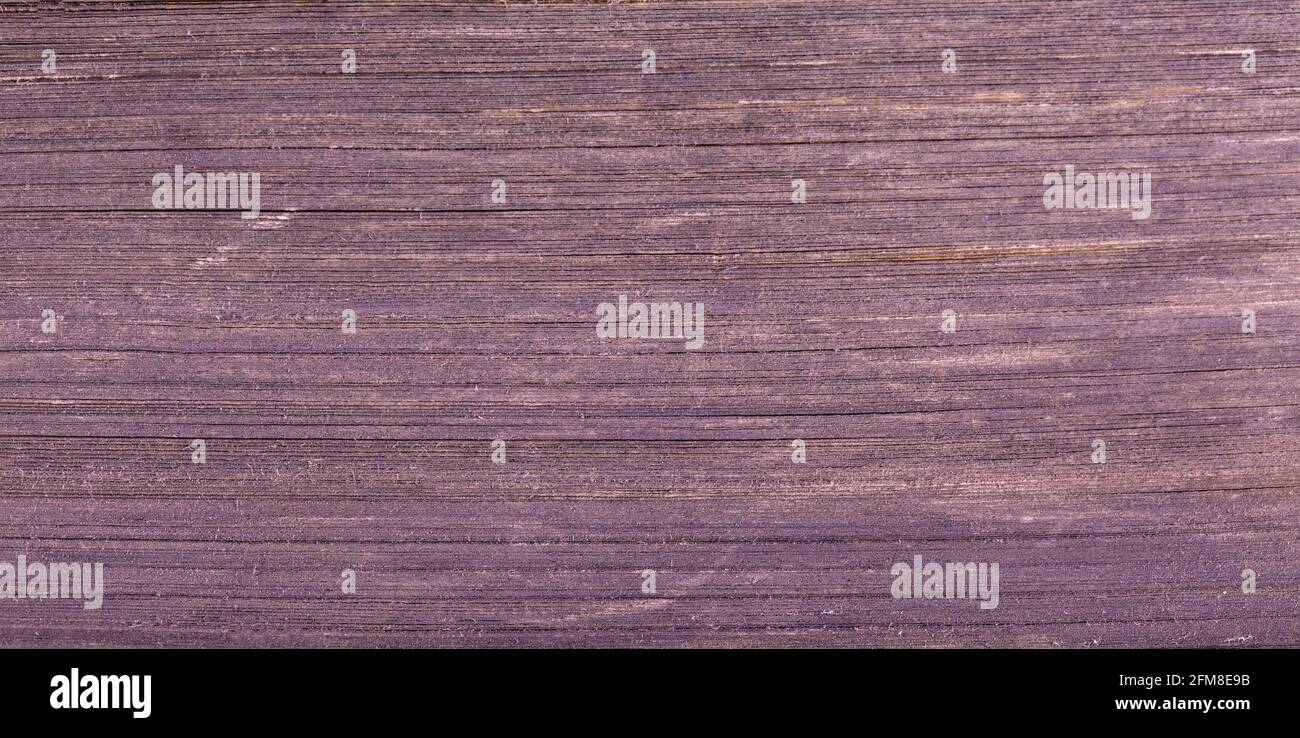 Book Pages Side Texture