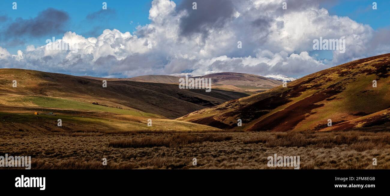 Park cheviot hi-res stock photography and images - Alamy