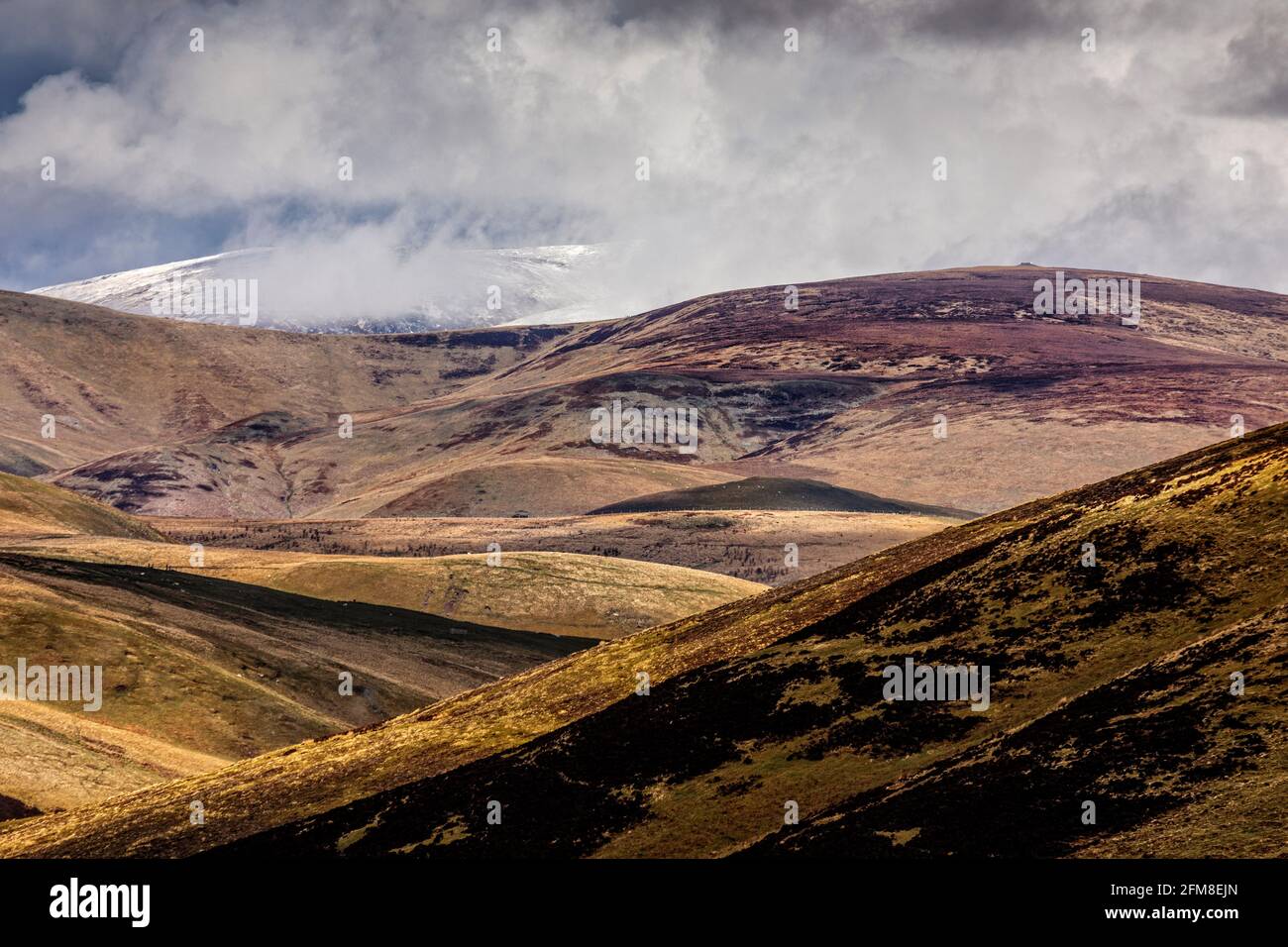 Park cheviot hi-res stock photography and images - Alamy