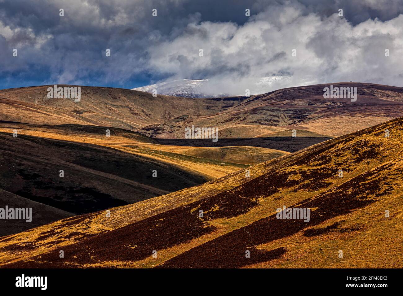 Park cheviot hi-res stock photography and images - Alamy