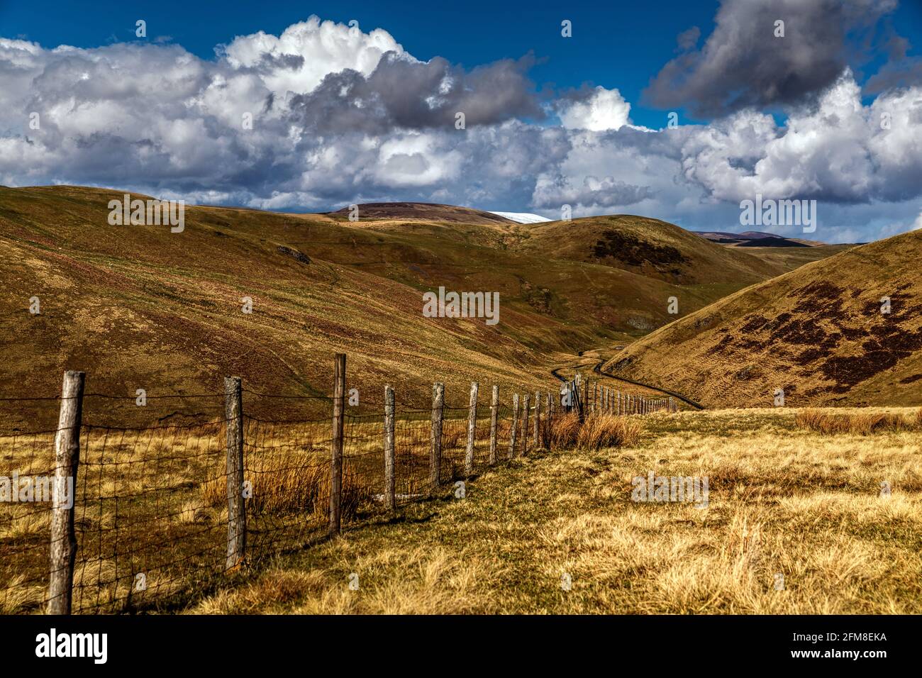 Park cheviot hi-res stock photography and images - Alamy
