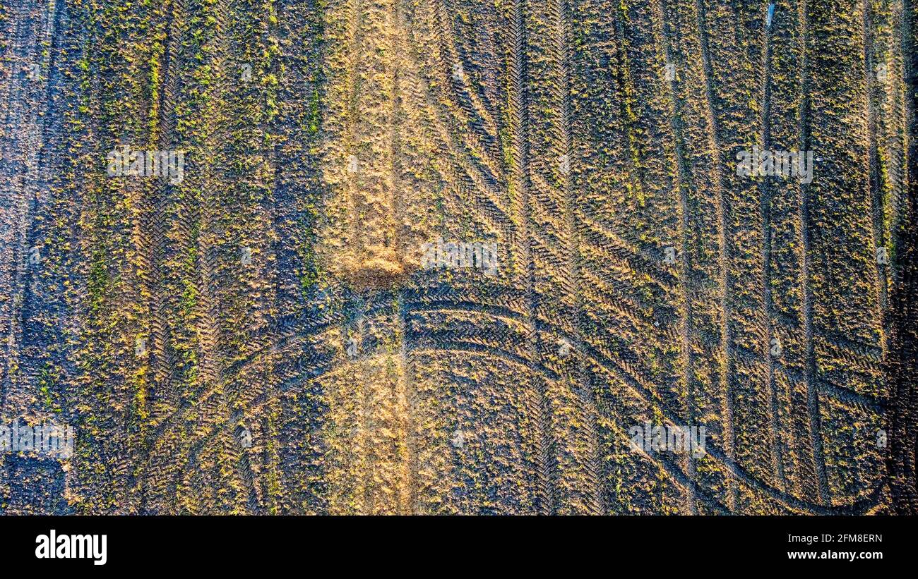 Aerial view geometric farming fields, showing a green meadow and plowed ...