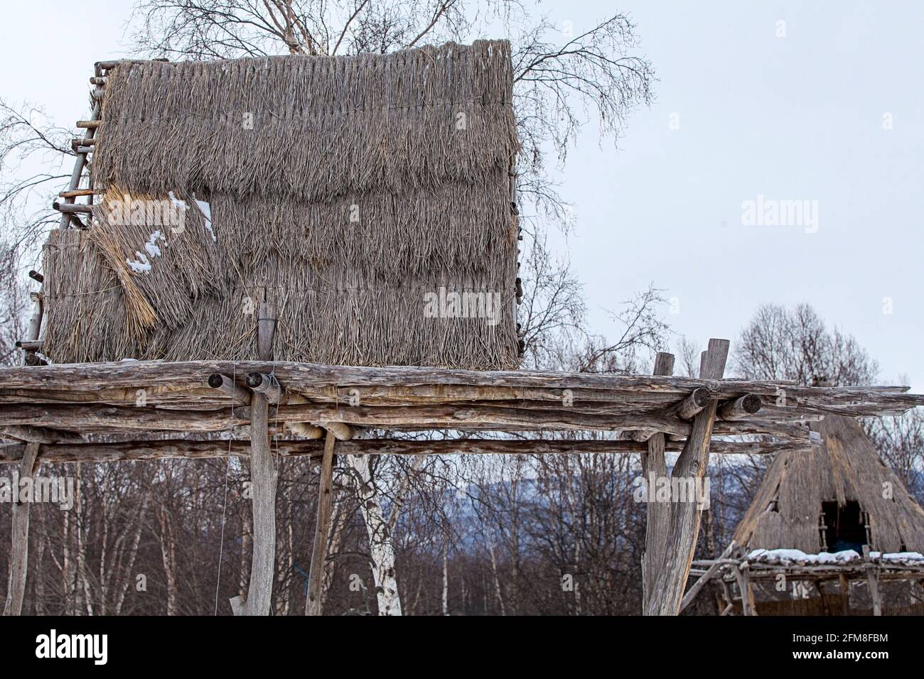 Northern Aboriginal hut on the tree in winter Stock Photo - Alamy