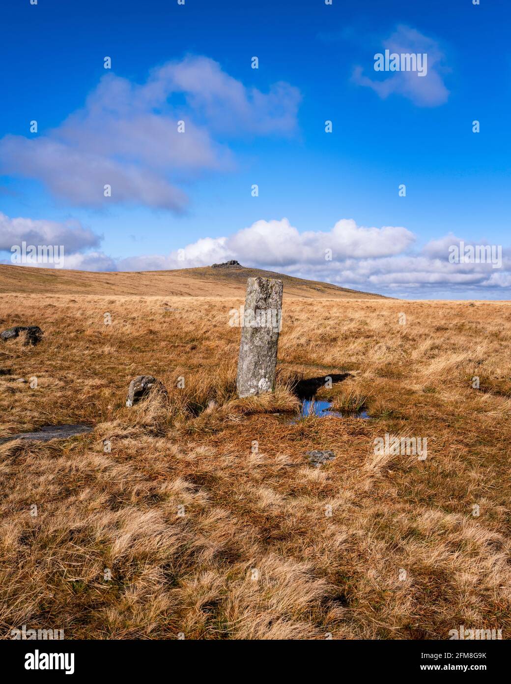 Boundary stone on lower slope of High Willhays with Yes Tor in ...