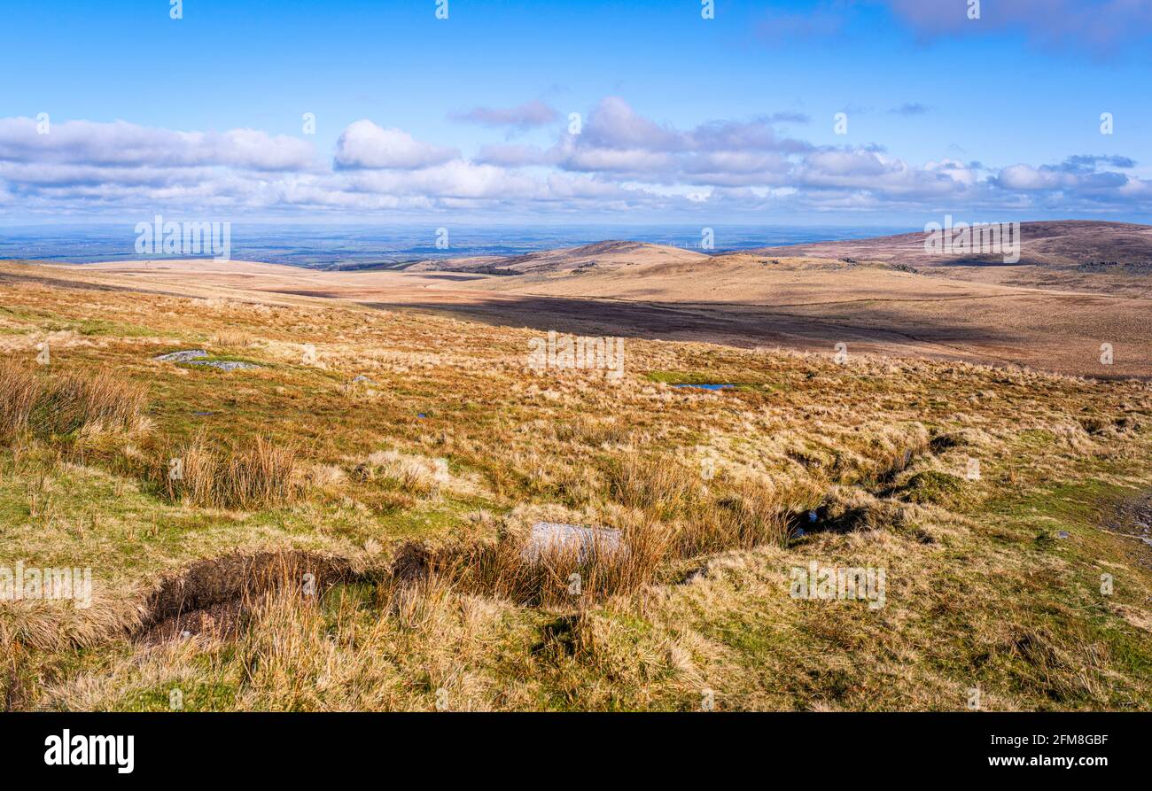 View towards Belstone Tors across the broad valley of the East Okement ...