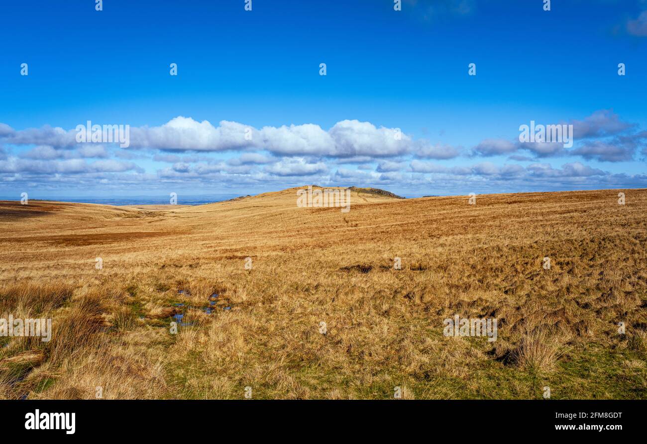 Dartmoor landscape including East Mill Tor, Dartmoor National Park ...