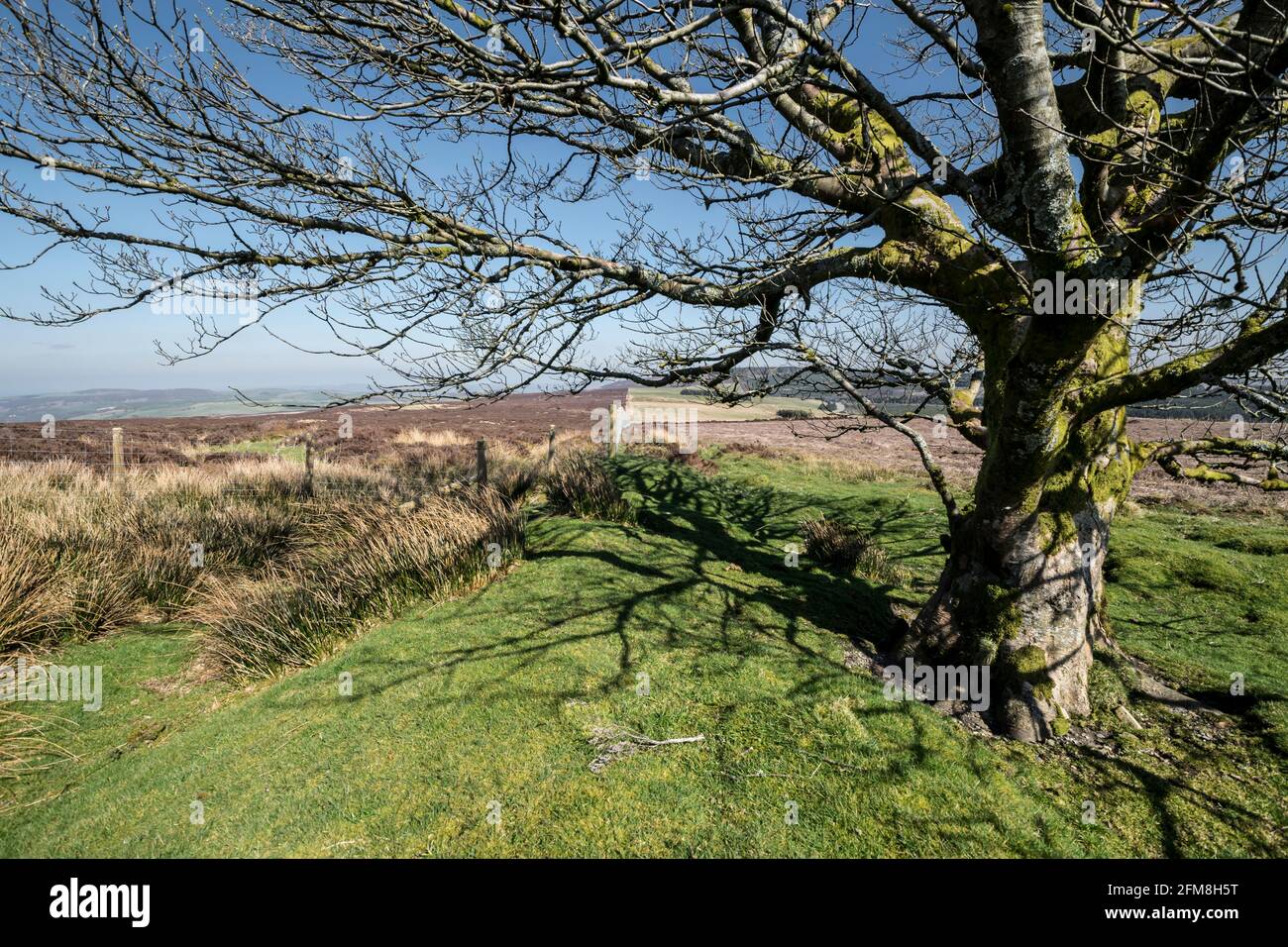 Denbigh moorland hi-res stock photography and images - Alamy