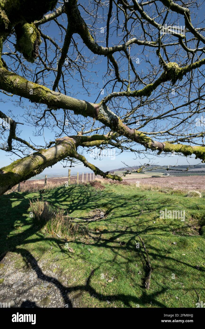 Welsh moors hi-res stock photography and images - Alamy