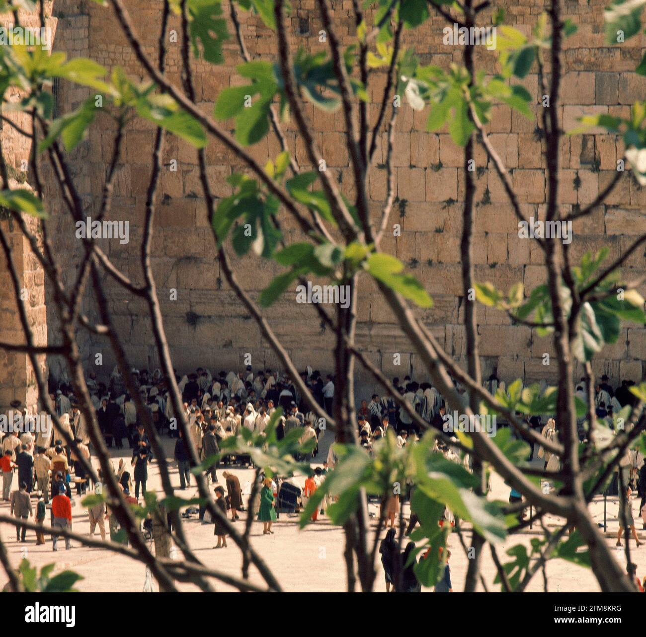 Muro de israel hi-res stock photography and images - Alamy