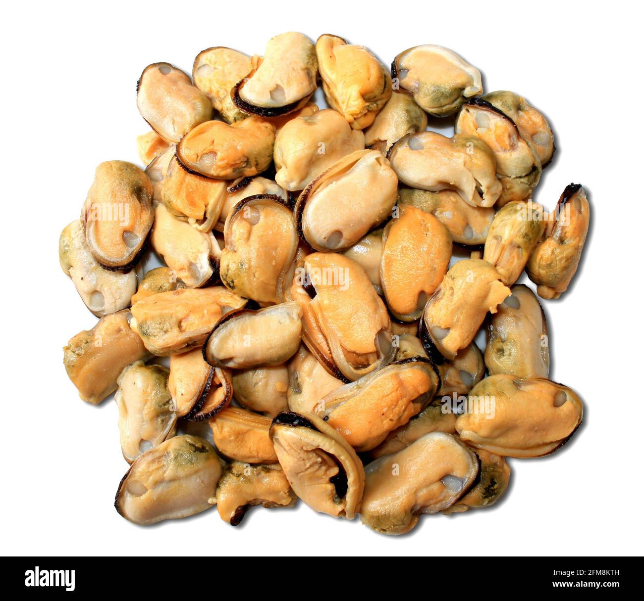 Shelled mussel Cut Out Stock Images & Pictures - Alamy